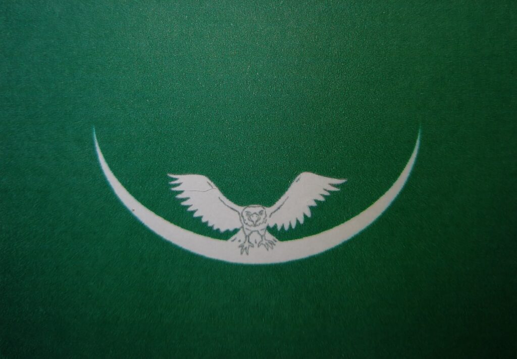 A Bandeira do Daime – O Evangelho de Juramidã